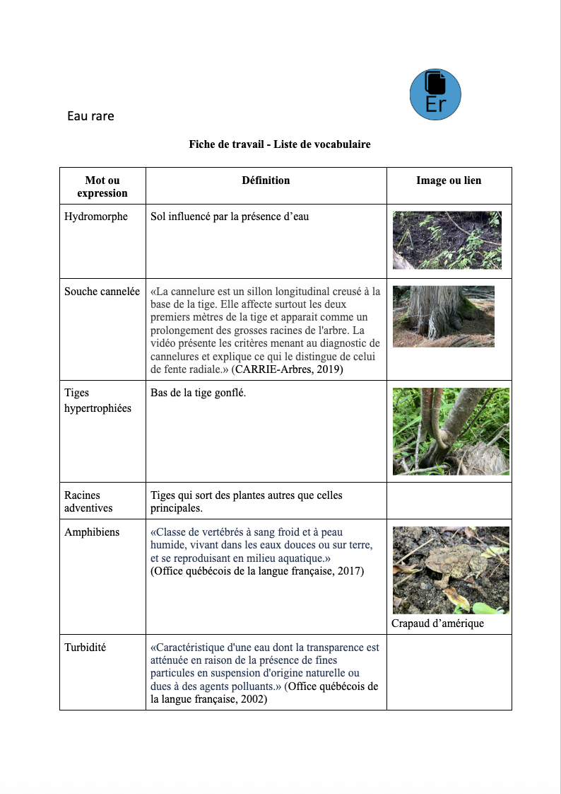 Fiches de travail - Tableau ST